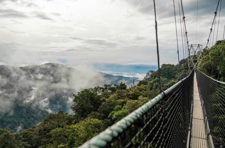 Top Reasons to Visit the Nyungwe Forest National Park, Rwanda: Explore ...